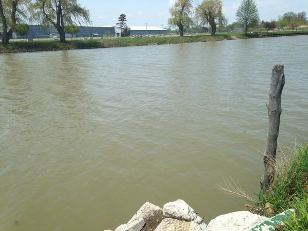 Sydenham River is on the rise | Wallaceburg News | Local news in ...