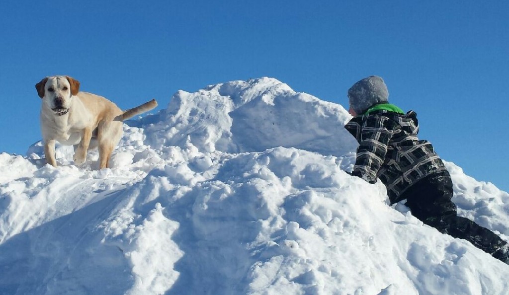 Full 'Snow Day' Photo Gallery