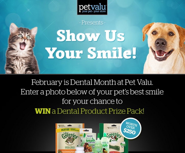 Share your Pet's Smile and you could win a $250 prize pack with Pet Valu