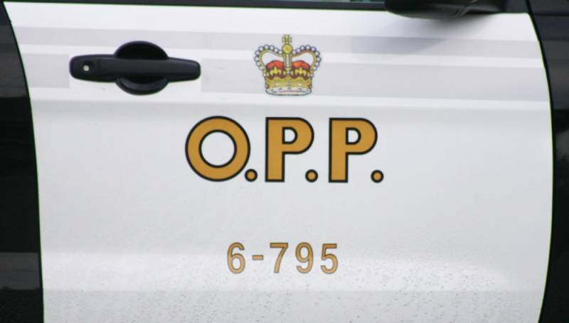 Driver caught with speed measuring warning device | Wallaceburg News ...