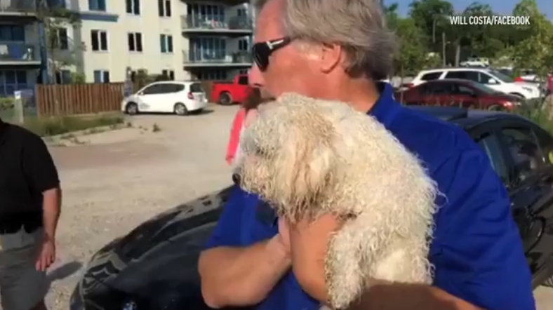 Window smashed to remove dog from hot car | Wallaceburg News | Local ...