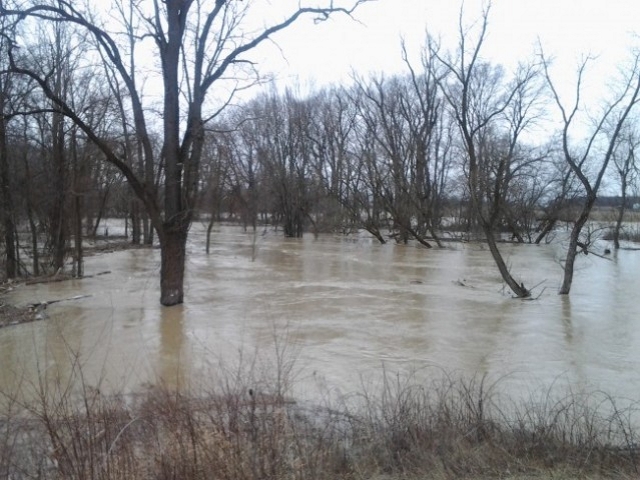 Sydenham River on the rise | Wallaceburg News | Local news in ...