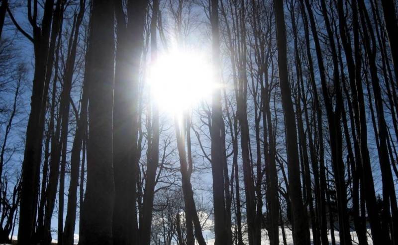 Chatham-Kent releases annual ‘Sunshine List’ | Wallaceburg News | Local ...