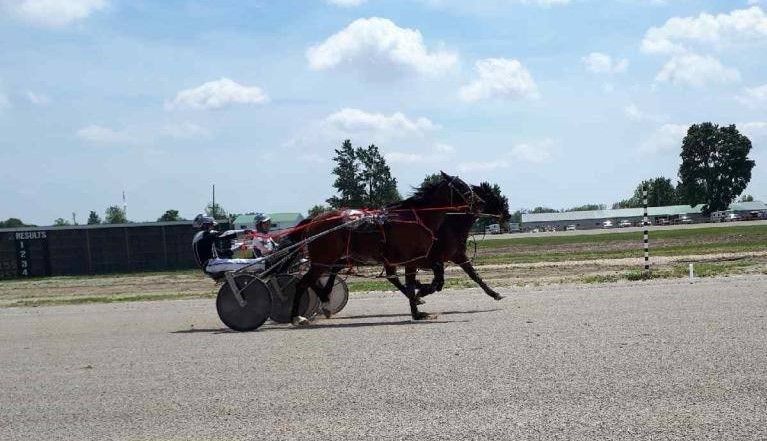 ‘BIA Day’ at the Dresden Raceway on Sunday | Wallaceburg News | Local ...