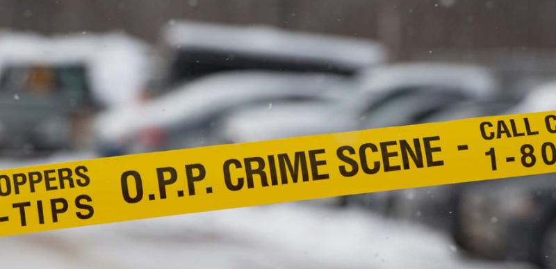 Update: OPP investigating triple homicide