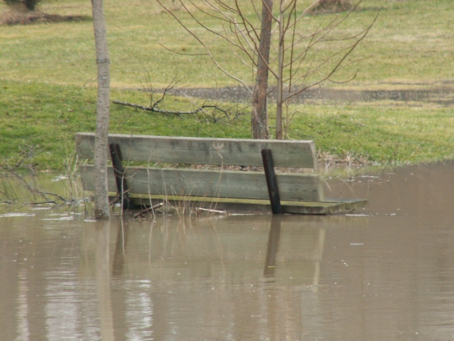 Flood Watch issued for Sydenham River