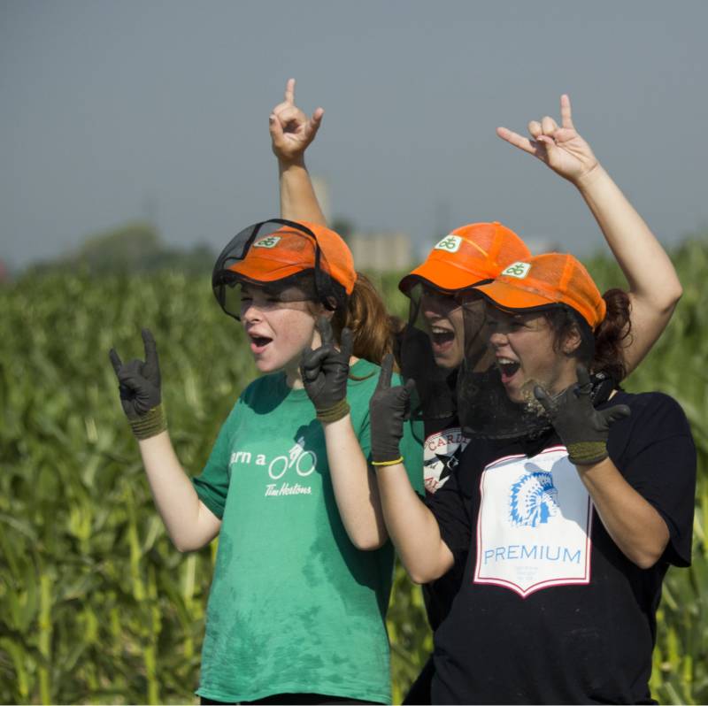 QDC hiring 100 corn detasselers in Wallaceburg & Dresden area ...