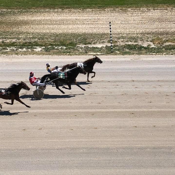Borth wins five, including three long-shots at Dresden Raceway