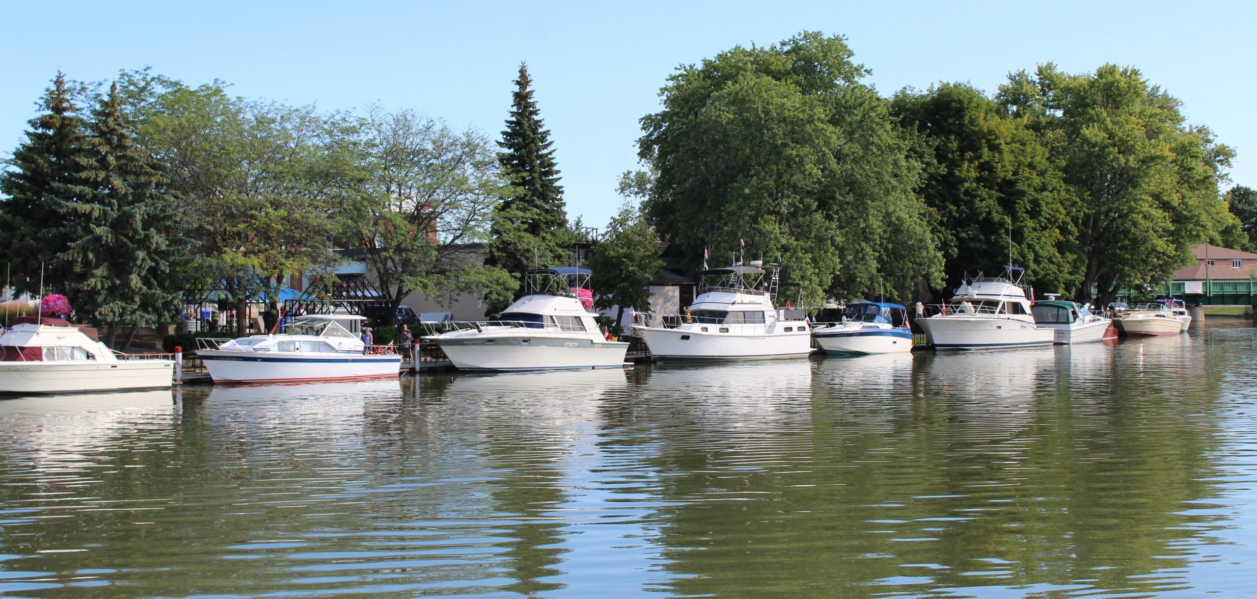 WAMBO 2020 cancelled due to COVID-19