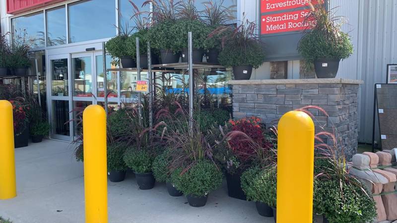 Lumberjack Home Building Centre in Dresden