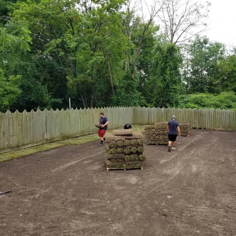 Dylan's Property Maintenance