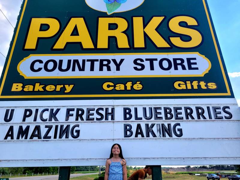 Park’s Blueberries and Country Store has fresh blueberries ...