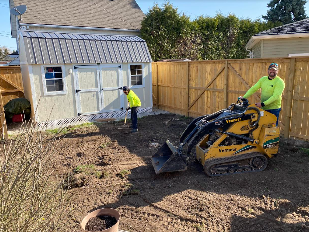 CK Tree Care: Now is a great time for tree maintenance | Wallaceburg ...