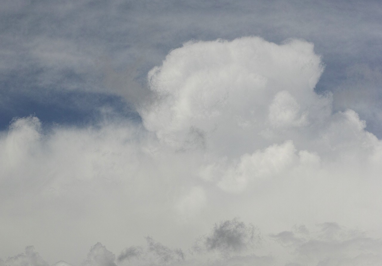 A few showers ending near noon, cloudy, 50 km/h wind gusts, high 12°C ...