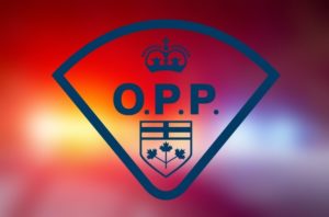 OPP officer killed in the line of duty in Hearst | Wallaceburg News ...