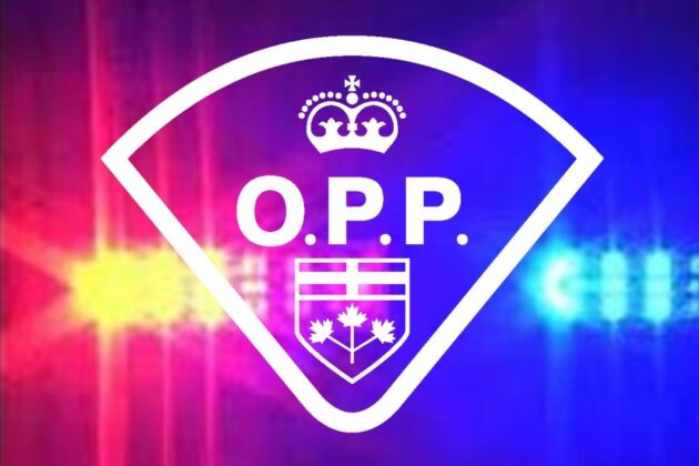 OPP lay 168 seatbelt charges during Easter long weekend campaign ...