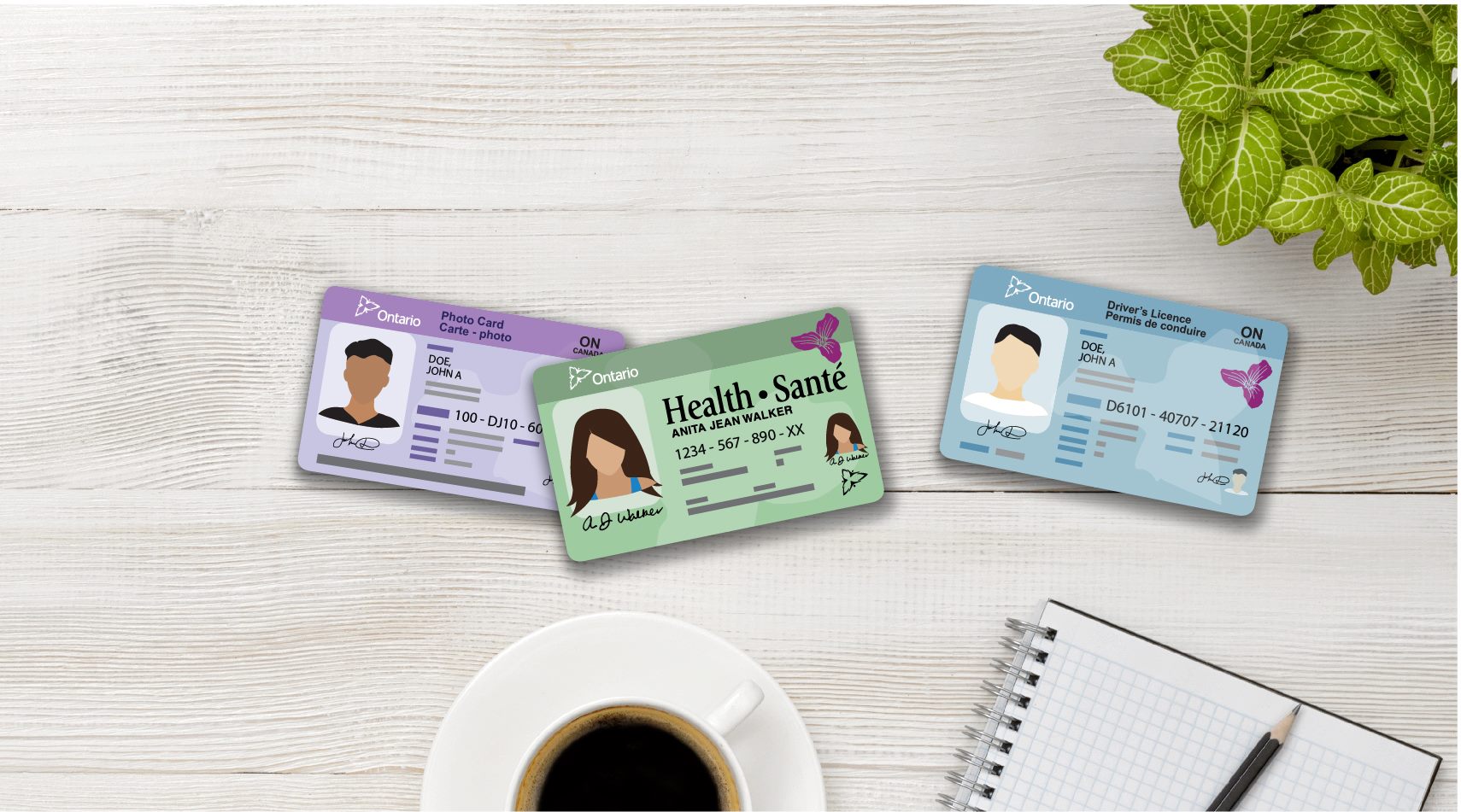 ServiceOntario expands into six Staples Canada stores across the ...