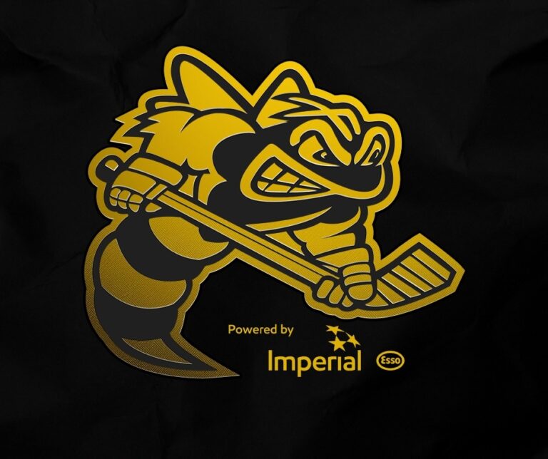 Over 2,000 LKDSB students attend Sarnia Sting’s annual School Day Game ...