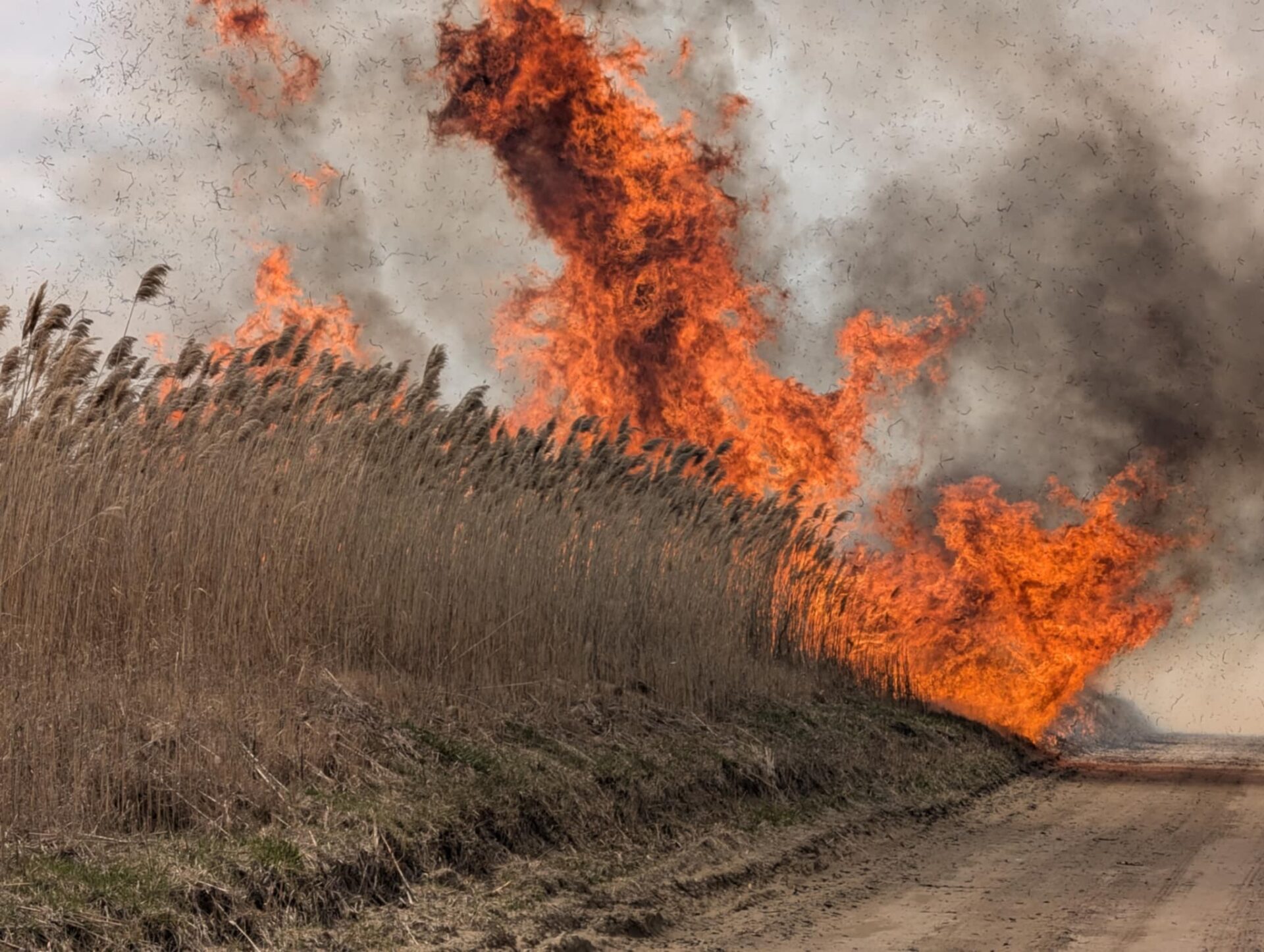 ‘Significant marsh fire’ on Walpole Island | Wallaceburg News | Local ...