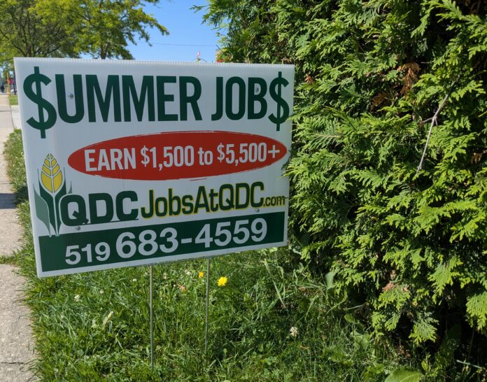 QDC hiring corn detasselers in Wallaceburg & Dresden area | Wallaceburg ...
