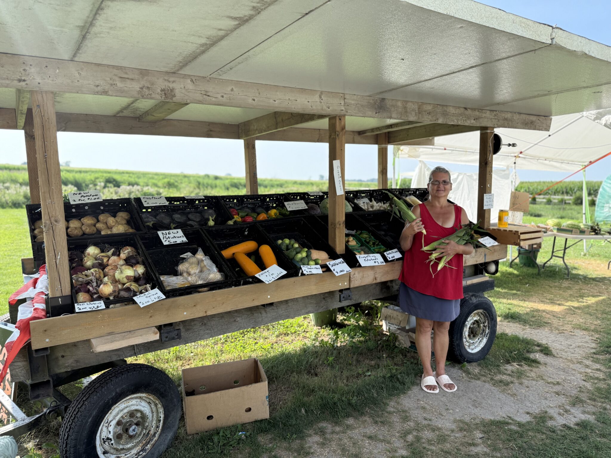 Diddly Squat Fruit and Veggie stand | Wallaceburg News | Local news in ...