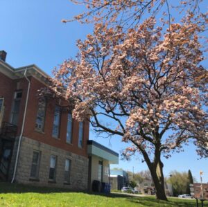 Wallaceburg Adult Activity Centre to hold annual general meeting and ...