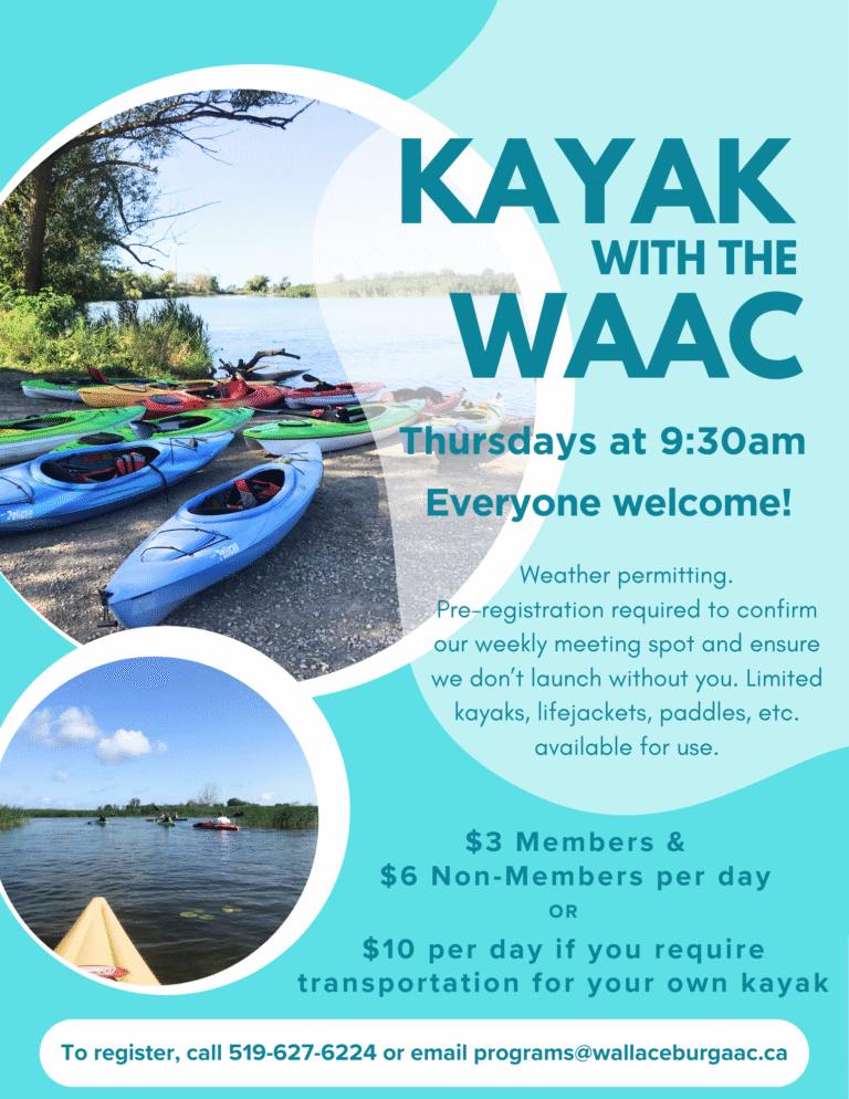 Kayaking program returning to Wallaceburg Adult Activity Centre ...