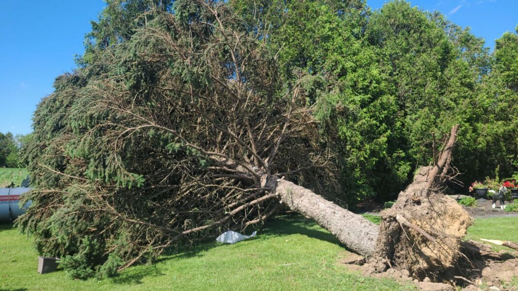 Tornado confirmed near Croton, downbursts cause damage on Walpole ...